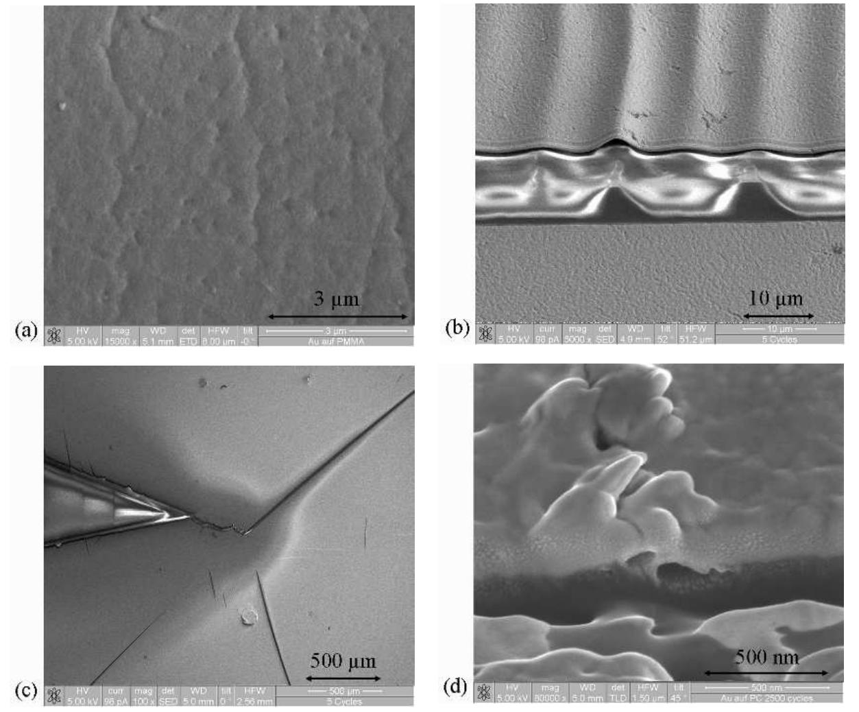 Sem micrographs of different types of damage observed in a
