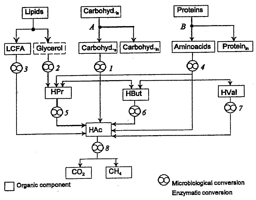 Main pathways for anaerobic degradation of organic matter