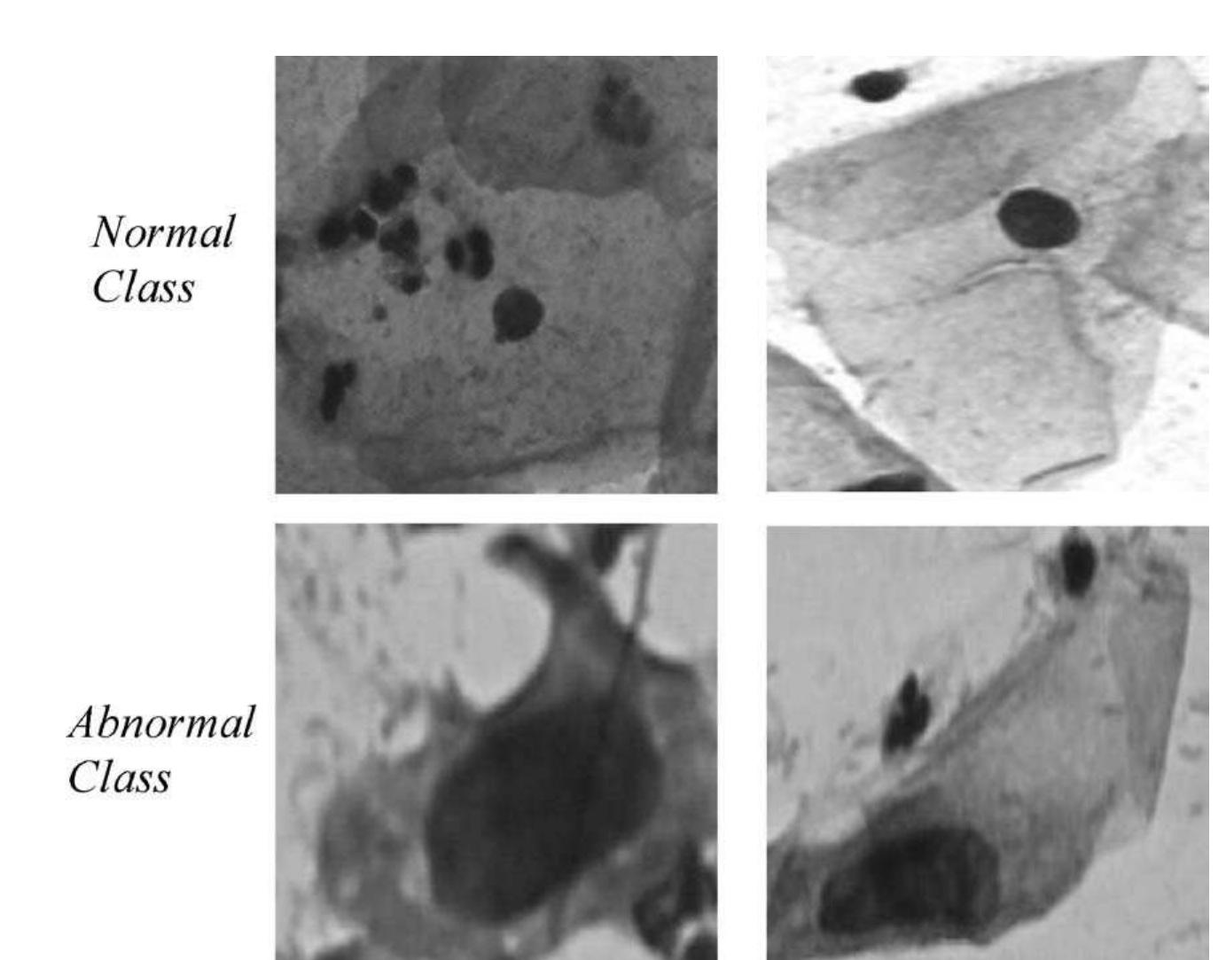 Images from the pap smear dataset.