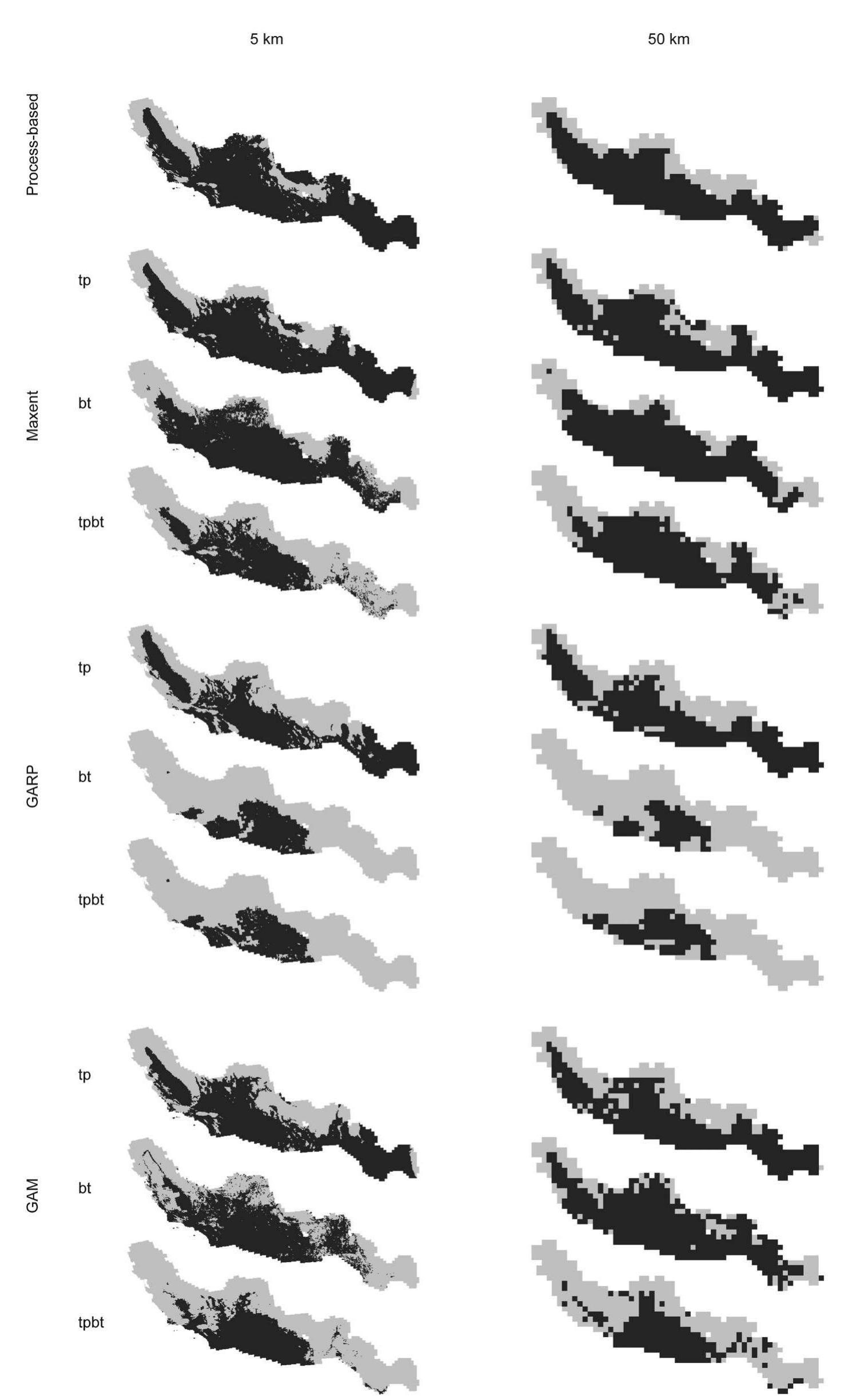 B1. example binary maps for different models and sets of