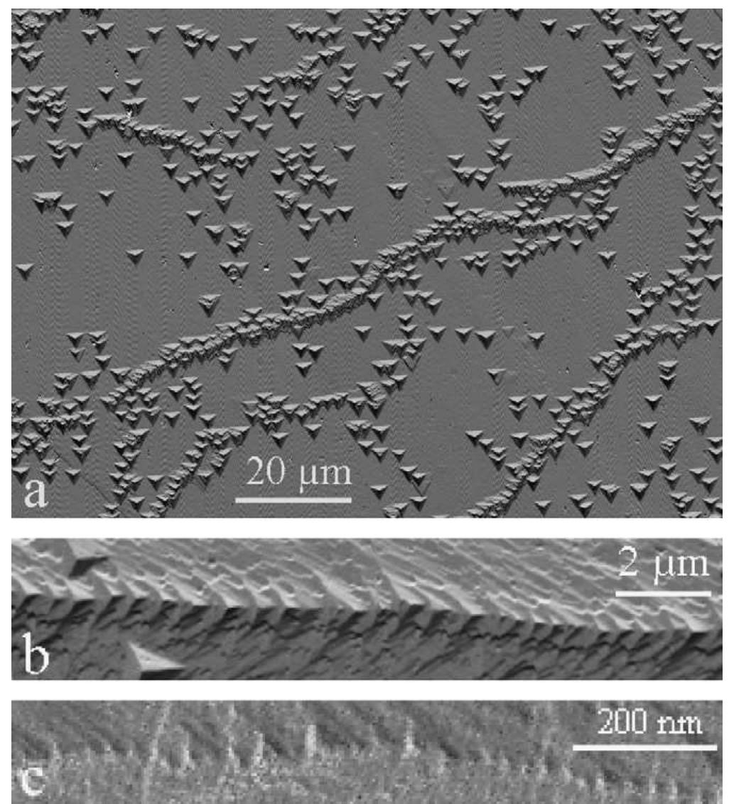 Afm examples of etched dislocation structures: (a) free