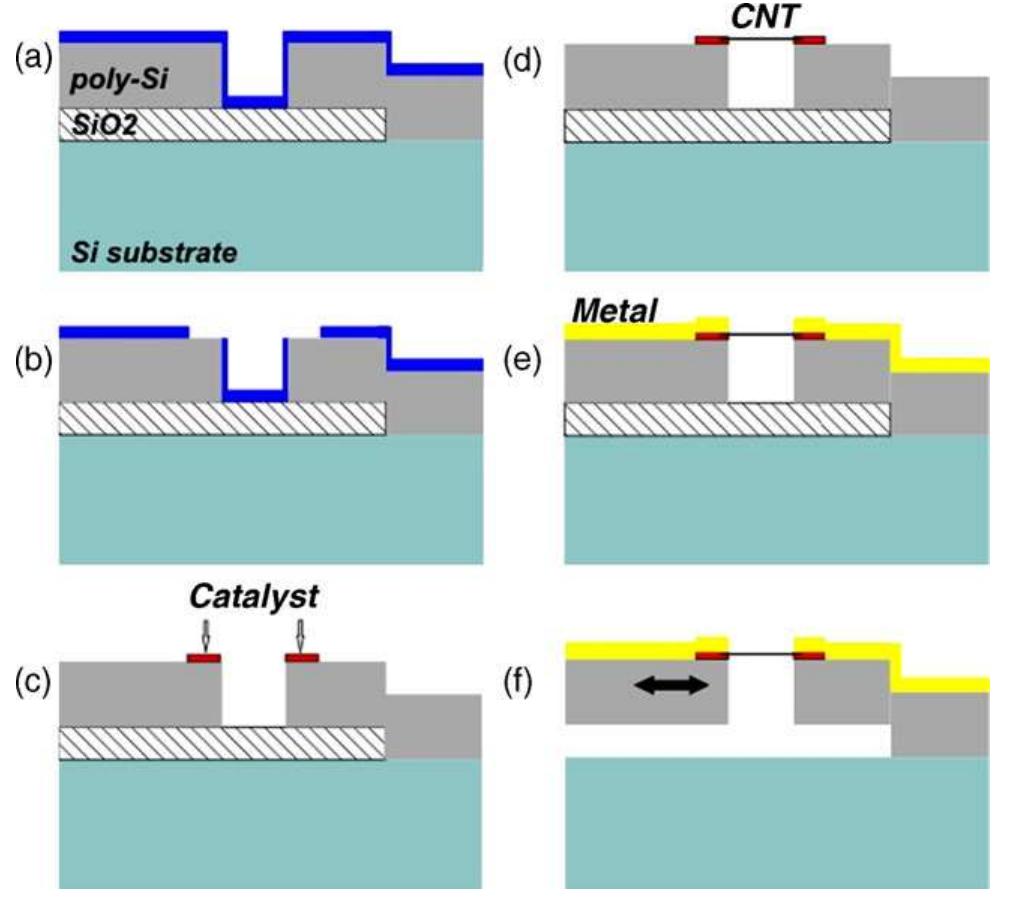 Schematic diagram of the process flow. (a) pmma spin coating