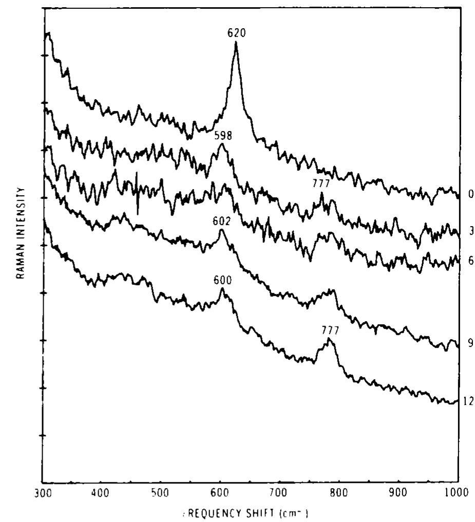 Raman spectra of liquid phase in zeolite y synthesis