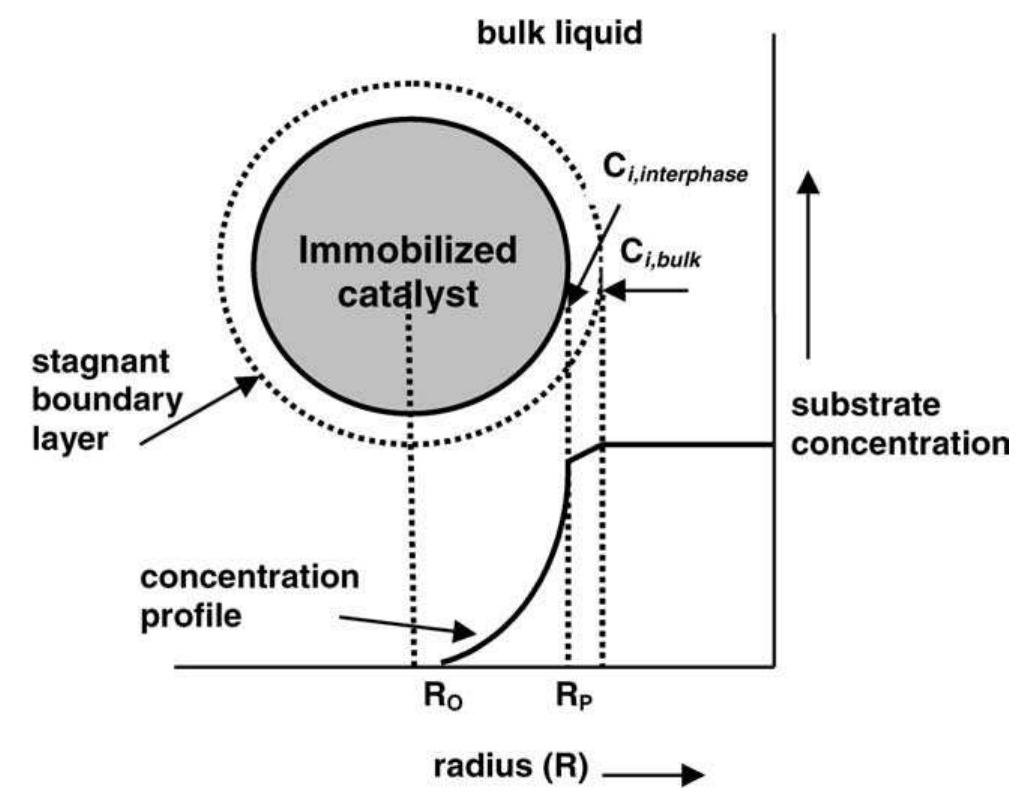 Schematic diagram of the concentration profile of substrates
