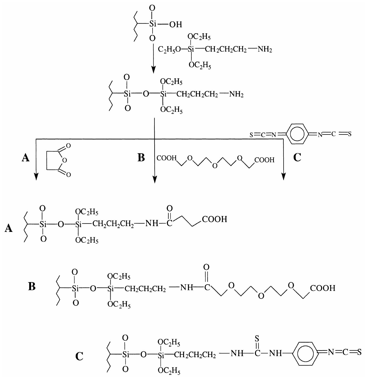 Schematic representation of different surface chemistries