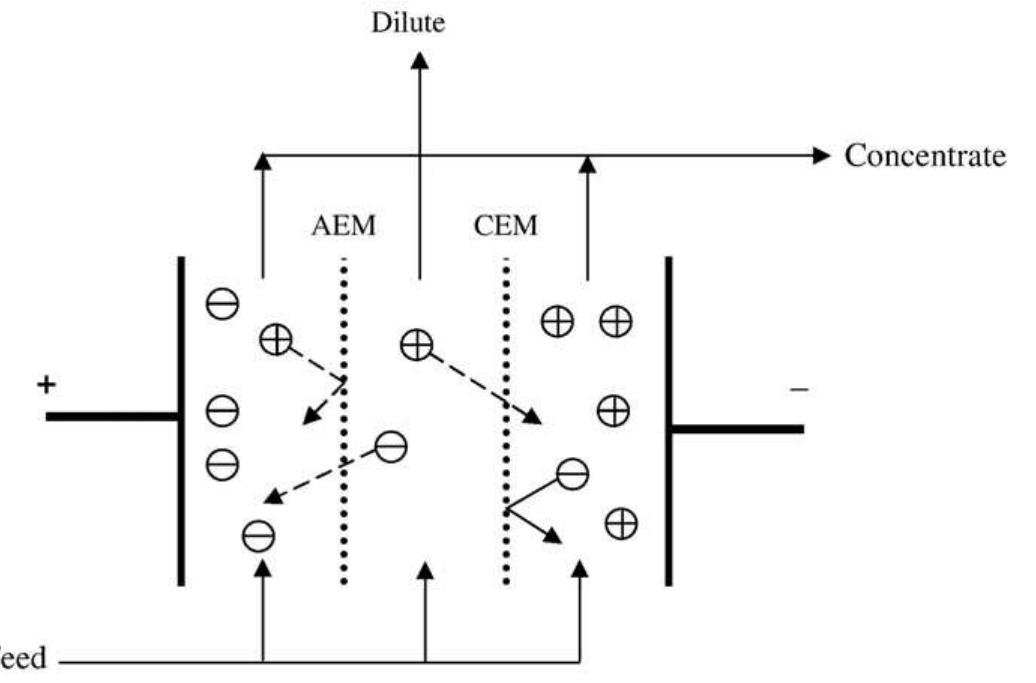 Schematic view of an ed cell. 4. ce calculation