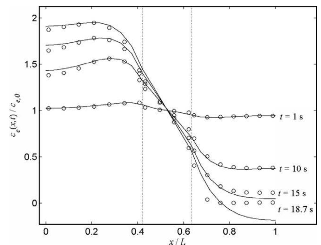 Distribution of electrolyte surface concentration at various