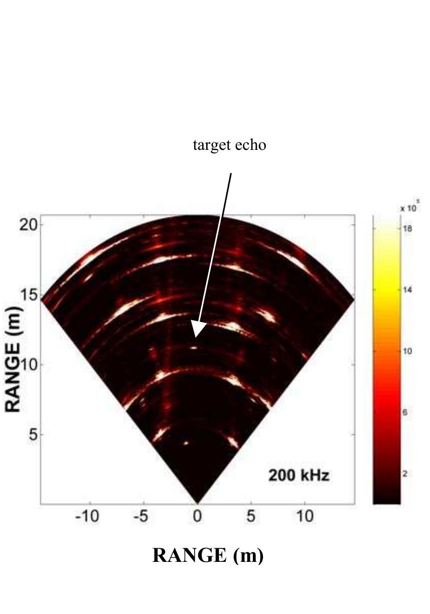 Image of the beamformed output of the 200-khz simrad sm2000
