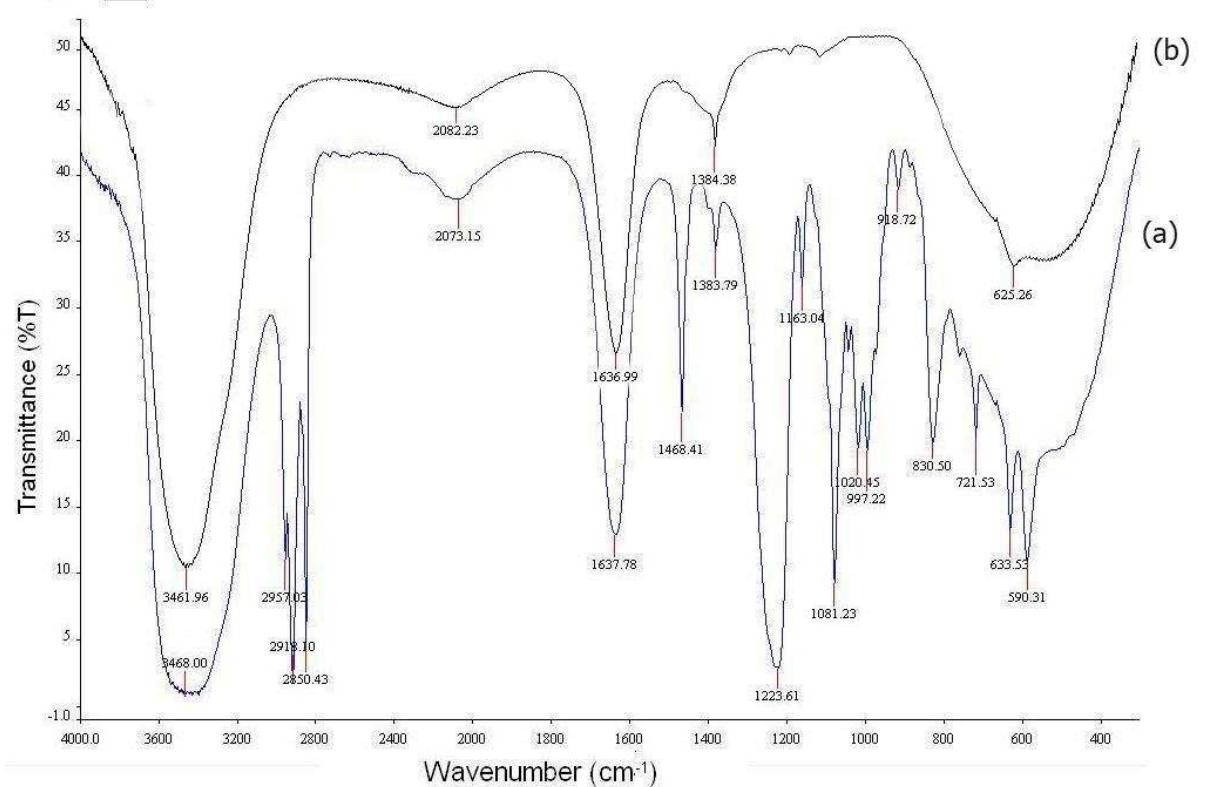 The ft-ir spectra of (a) pure sds and (b) sds capped copper