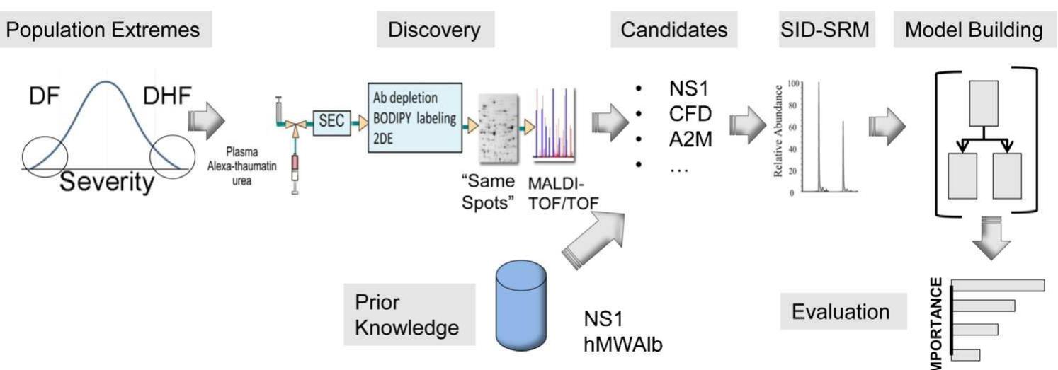 Schematic of classification strategy. schematic view of