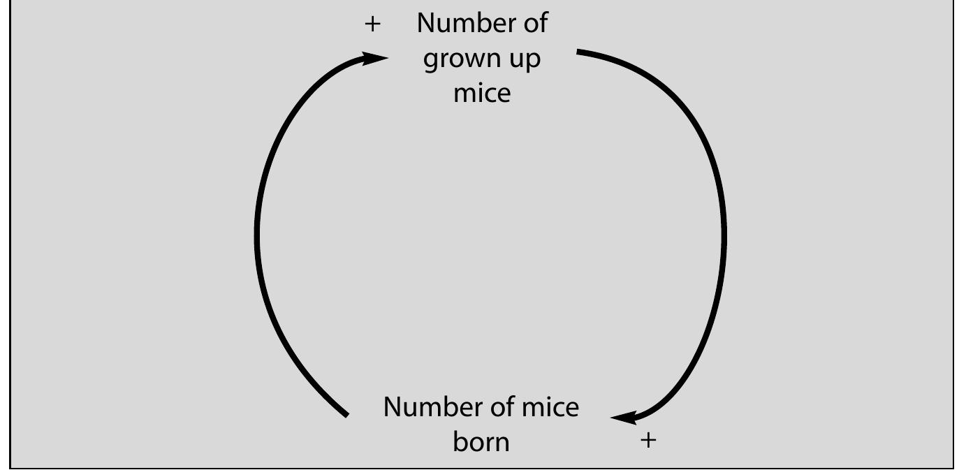 A.12. example of a positive feedback loop, self-reinforcing