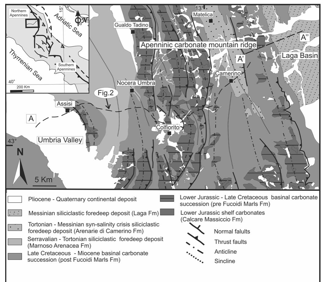 - structural sketch map of the study area. - schema