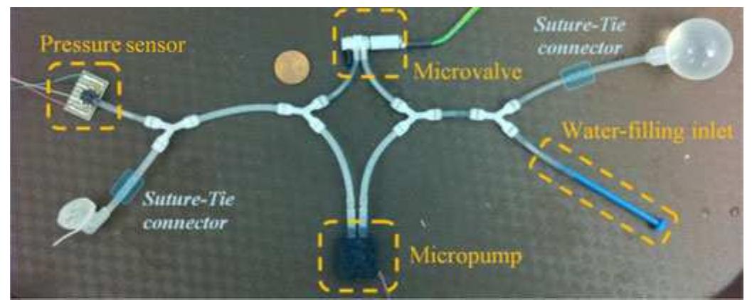 Wireless aus test bed with its components, connectors, and