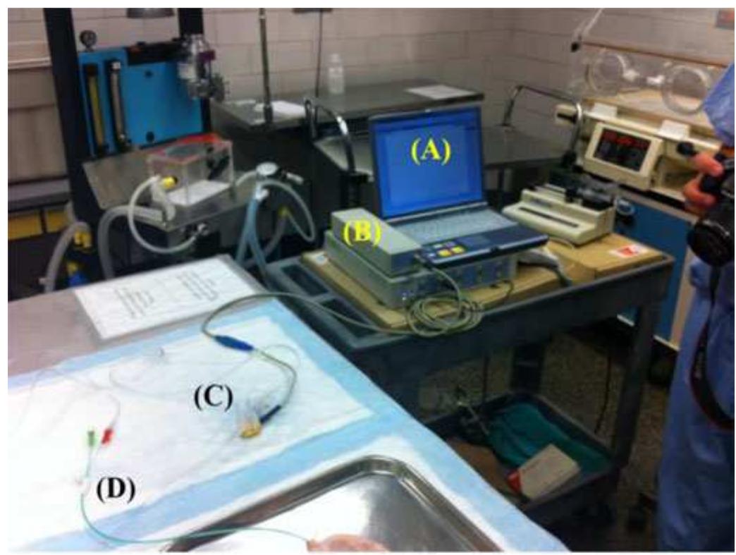 _eaus fresh pig bladder testing setup with: (a) pressure