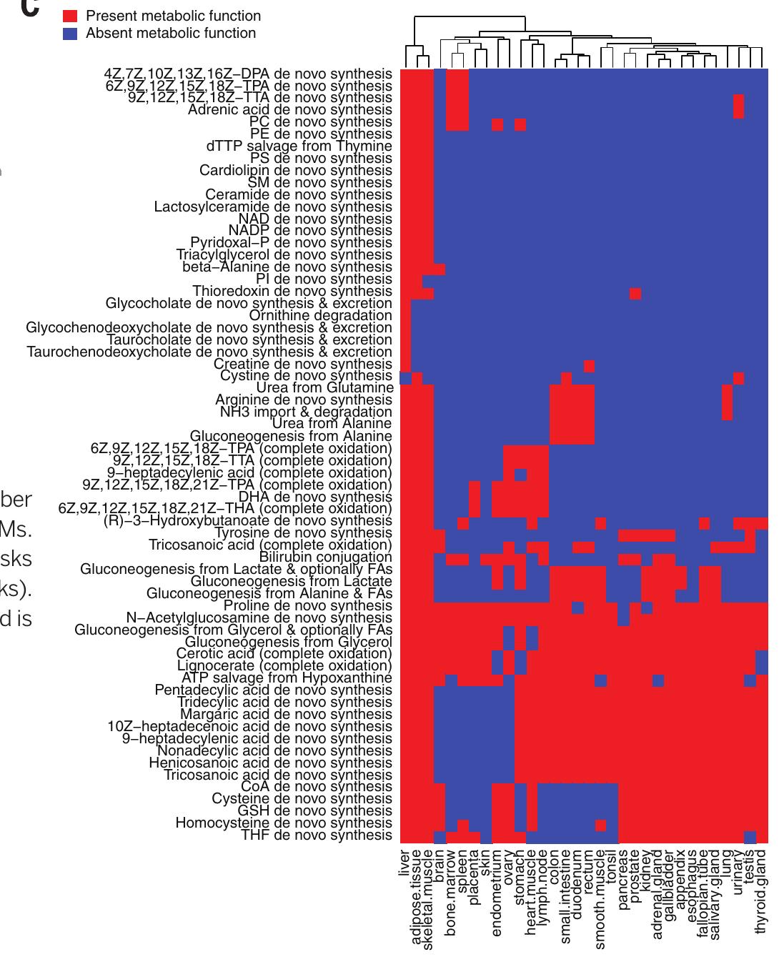 Figure 10 - Proteomics. Tissue-based map of the human
