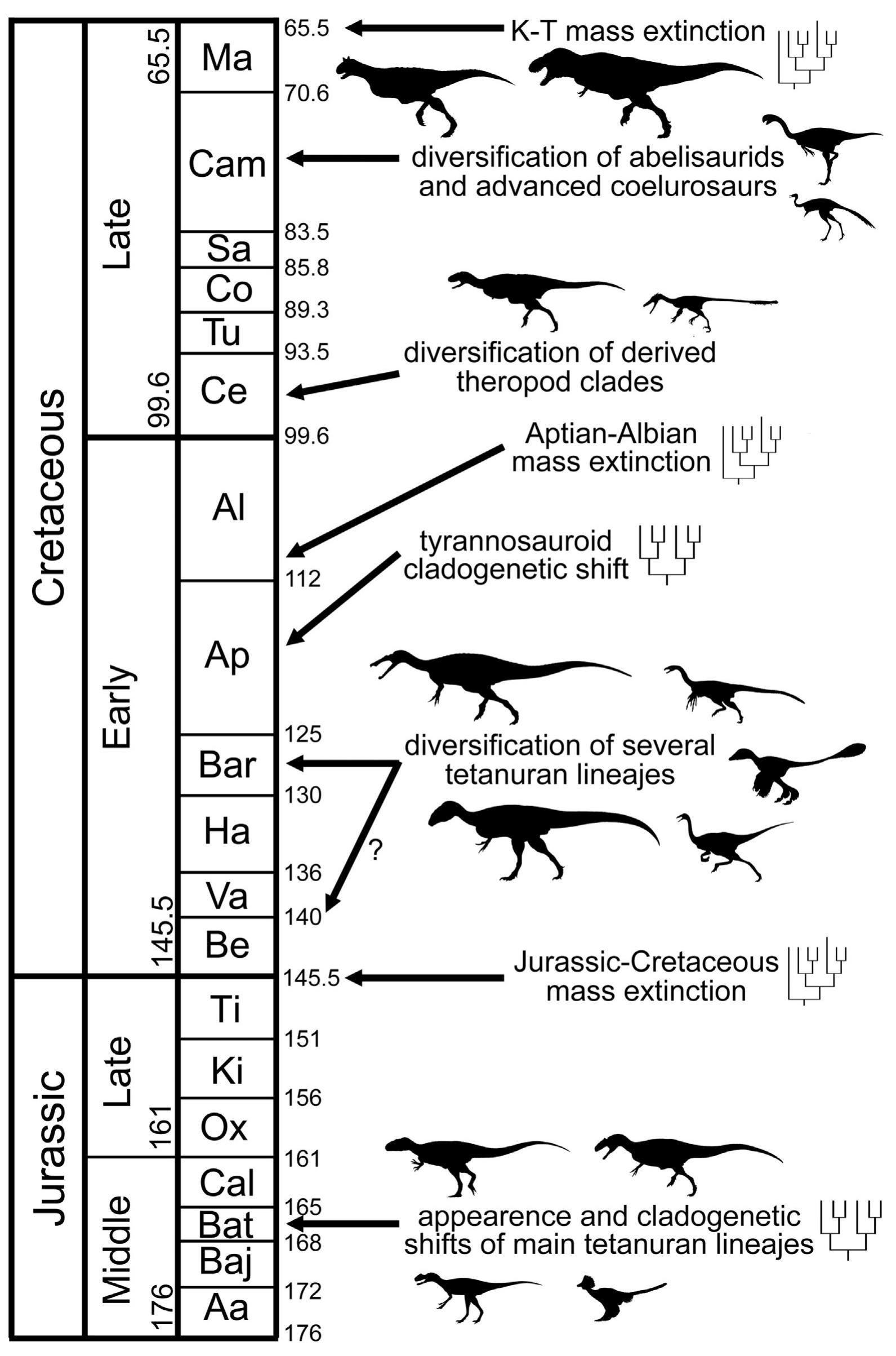 Global Macroevolutionary Patterns Of Theropod Dinosaurs