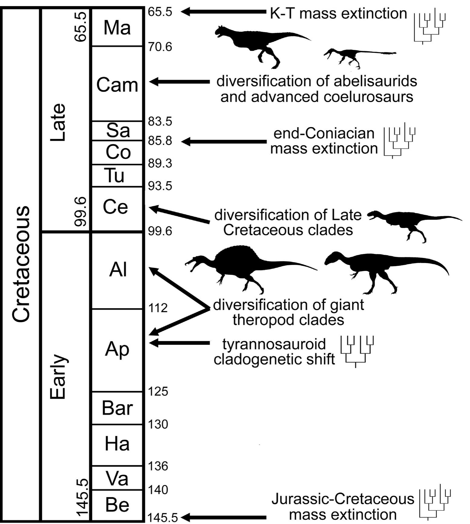 Macroevolutionary patterns of theropod dinosaurs in the late
