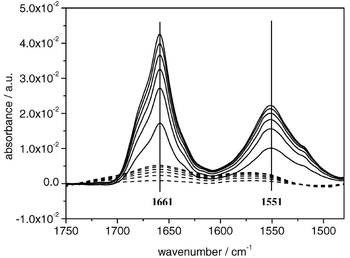 Fic. 5. atr-ft-ir difference spectra of the amide i and ii