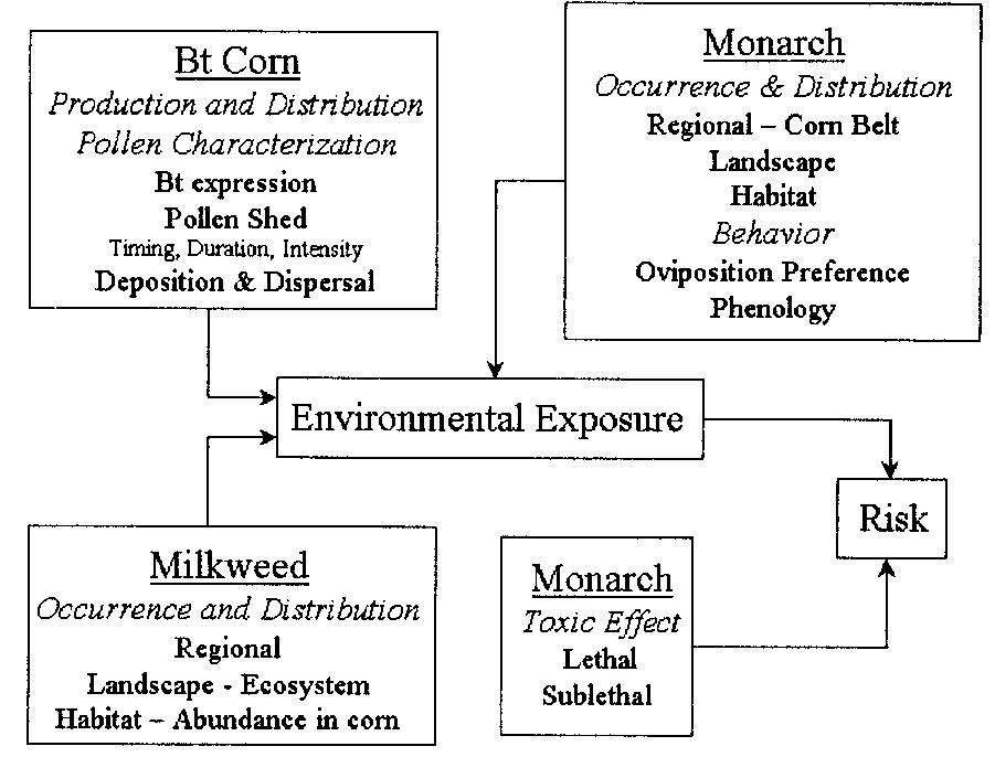 Conceptual model of components of risk assessment of the