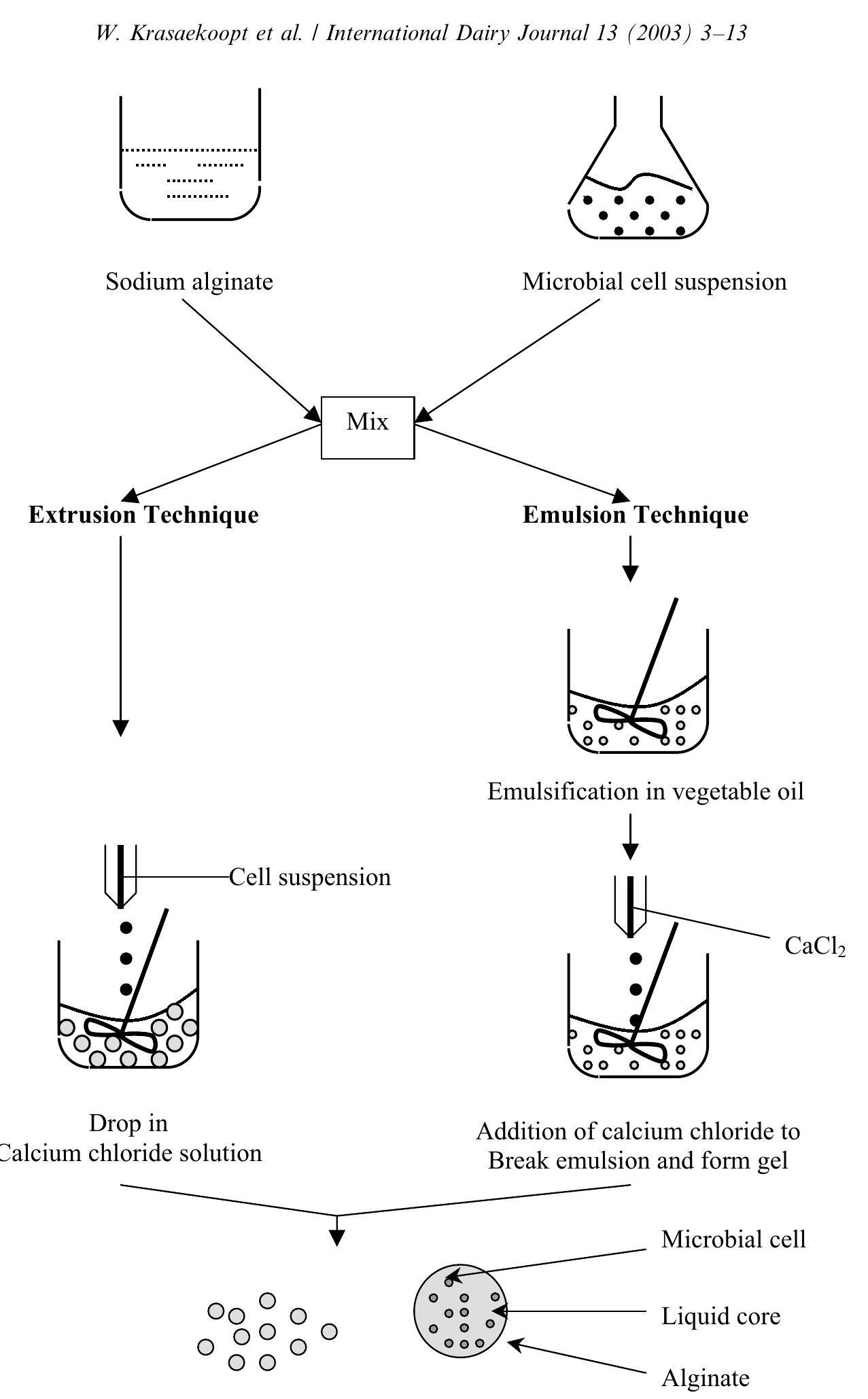 Flow diagram of encapsulation of bacteria by the extrusion