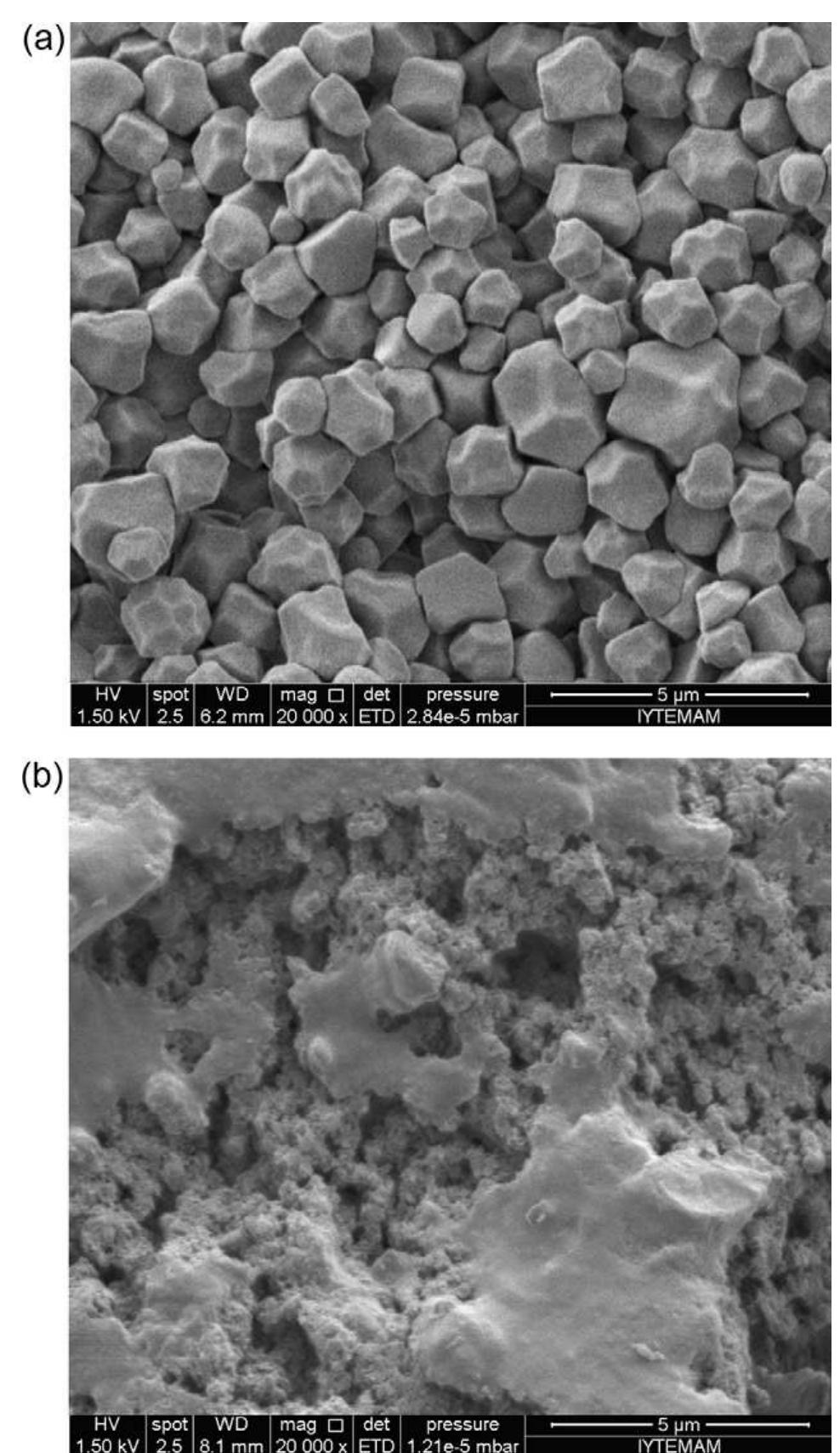 Scanning electron microscopy of taro starch (a) and taro