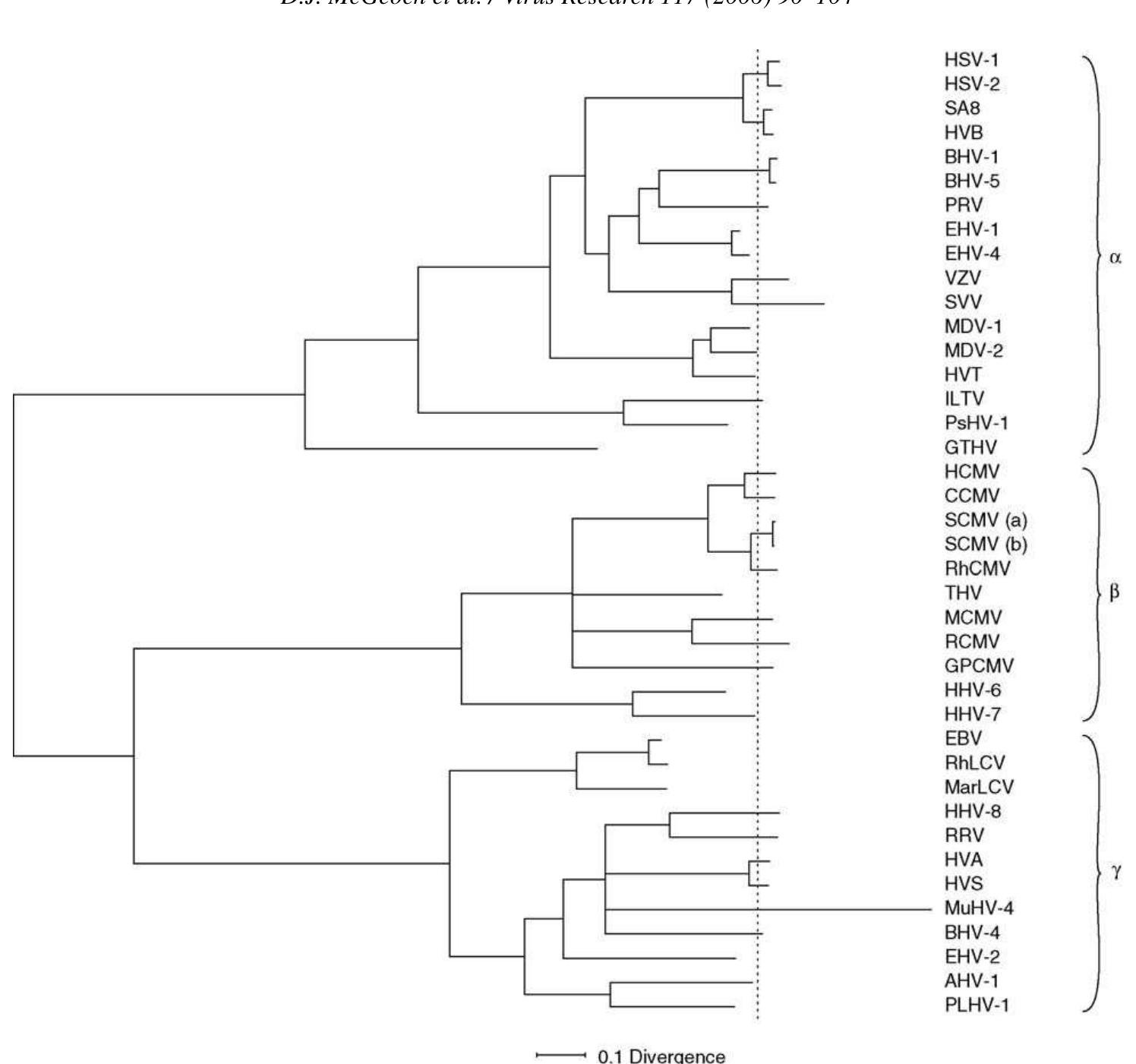 40-species phylogenetic tree for the herpesviridae. a