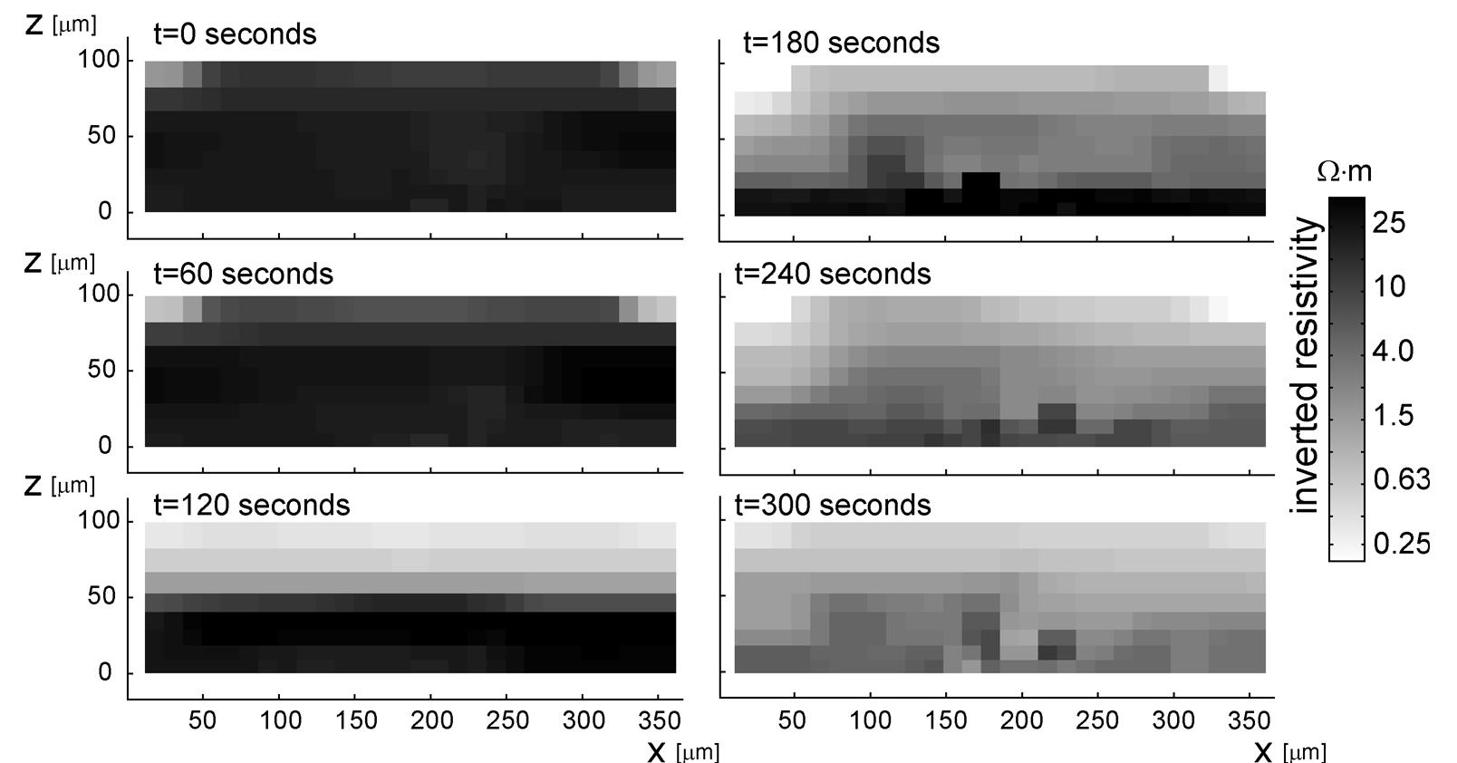 Evolution of the resistivity images shows how the