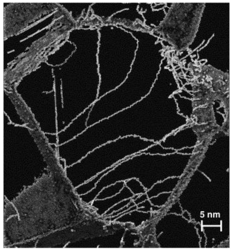 A dislocation pile-up formed in a single grain. the