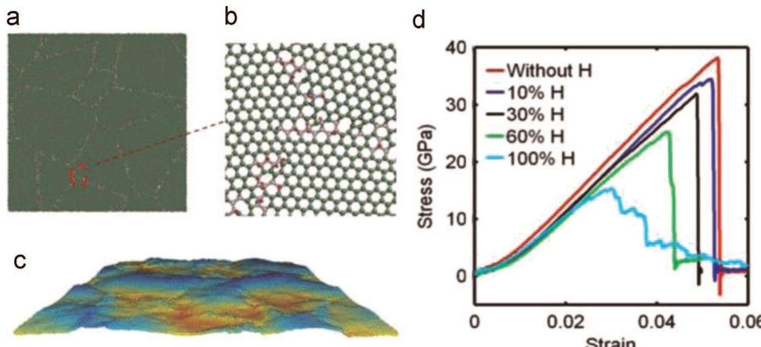 (a) 2d voronoi tessellation of graphene with 30% hydrogen