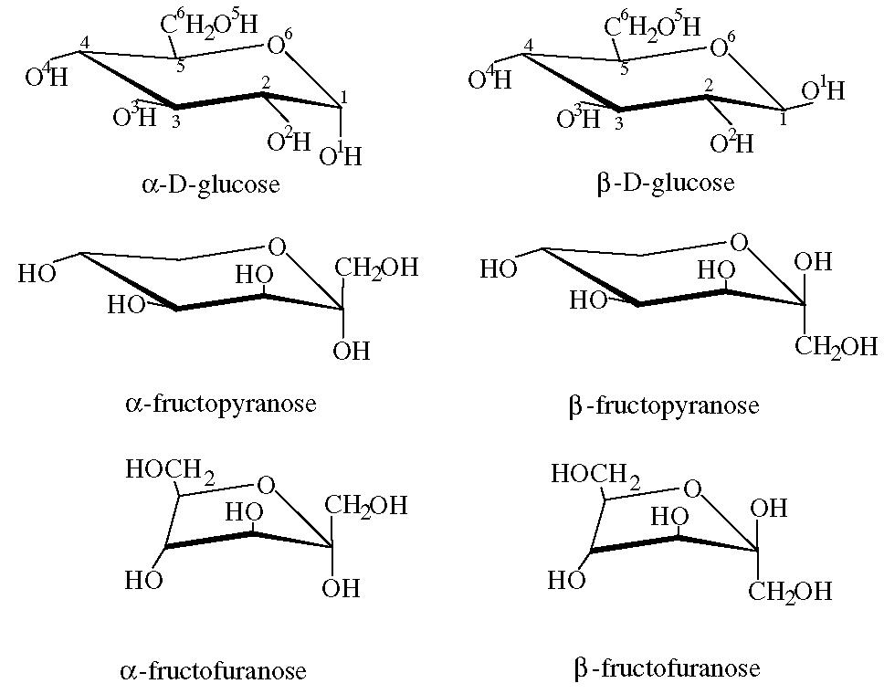 Structures of the different isomers of glucose and fructose.