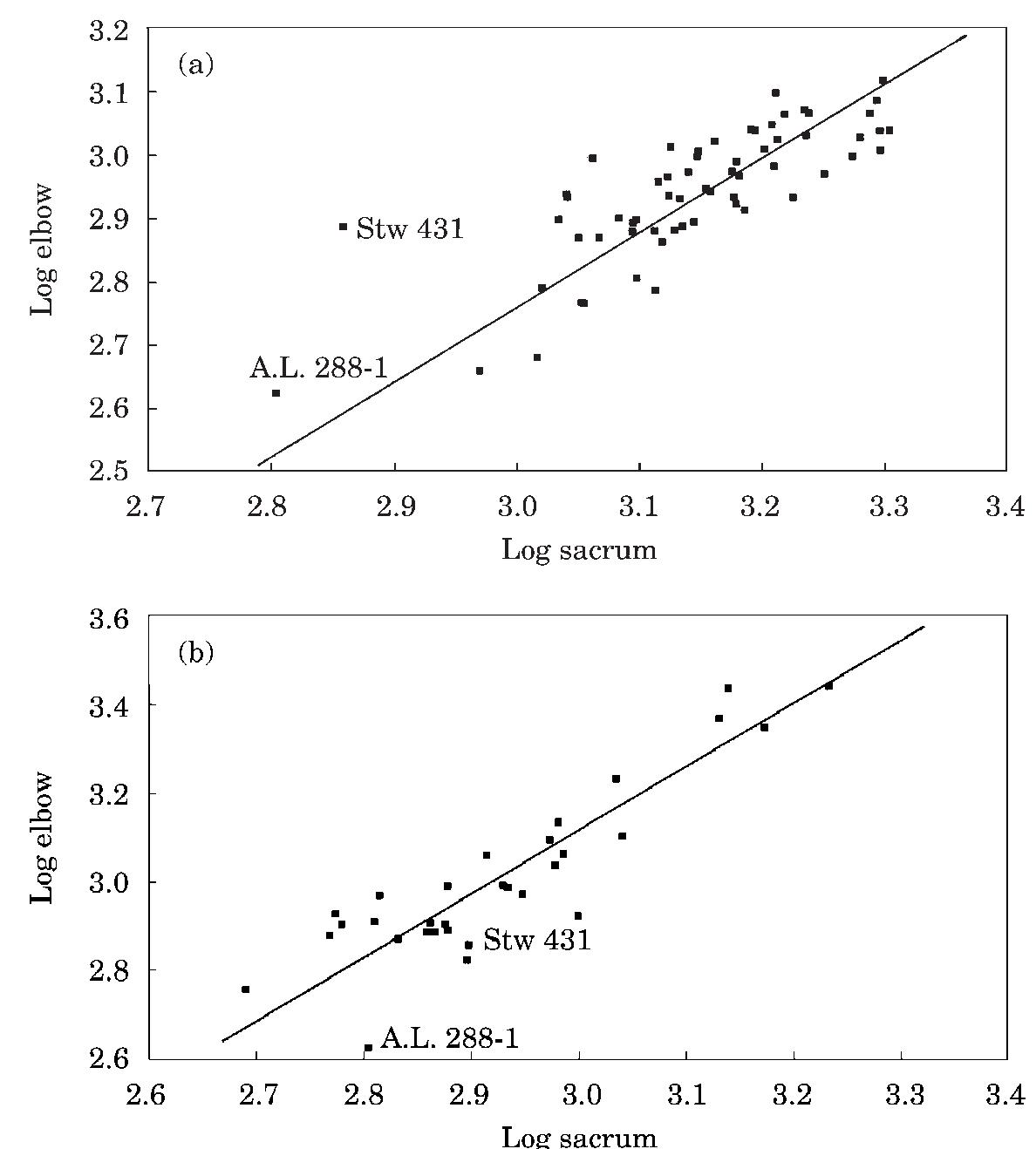 (a) scatterplot and rma of distal humeral size (elbow) vs.