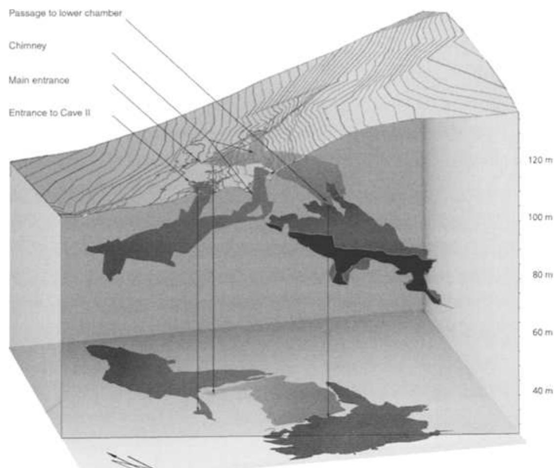 3-d model with a cross section through the lower chamber (in