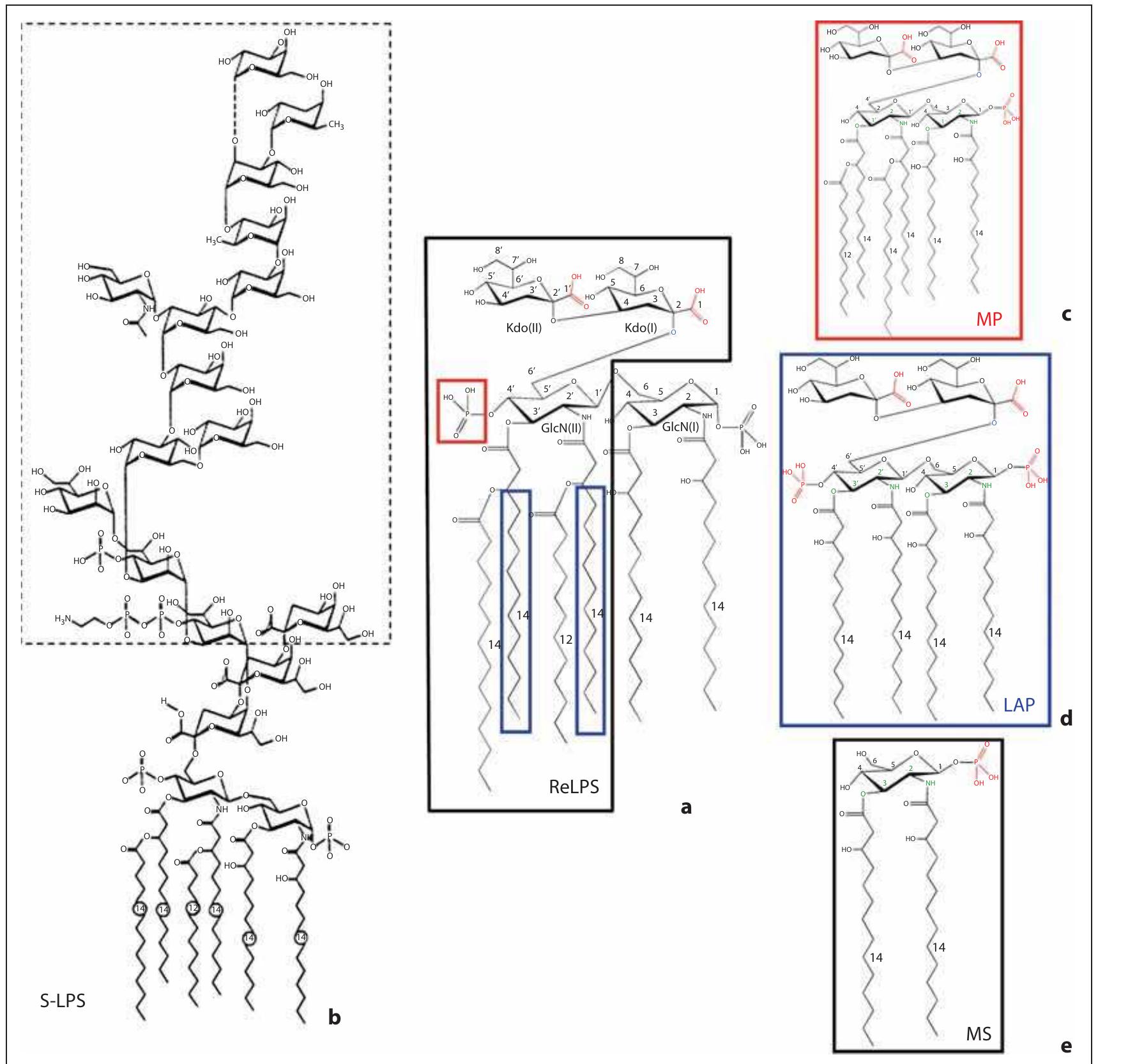 Figure 11 - from PMX Endotoxin Removal in the Clinical