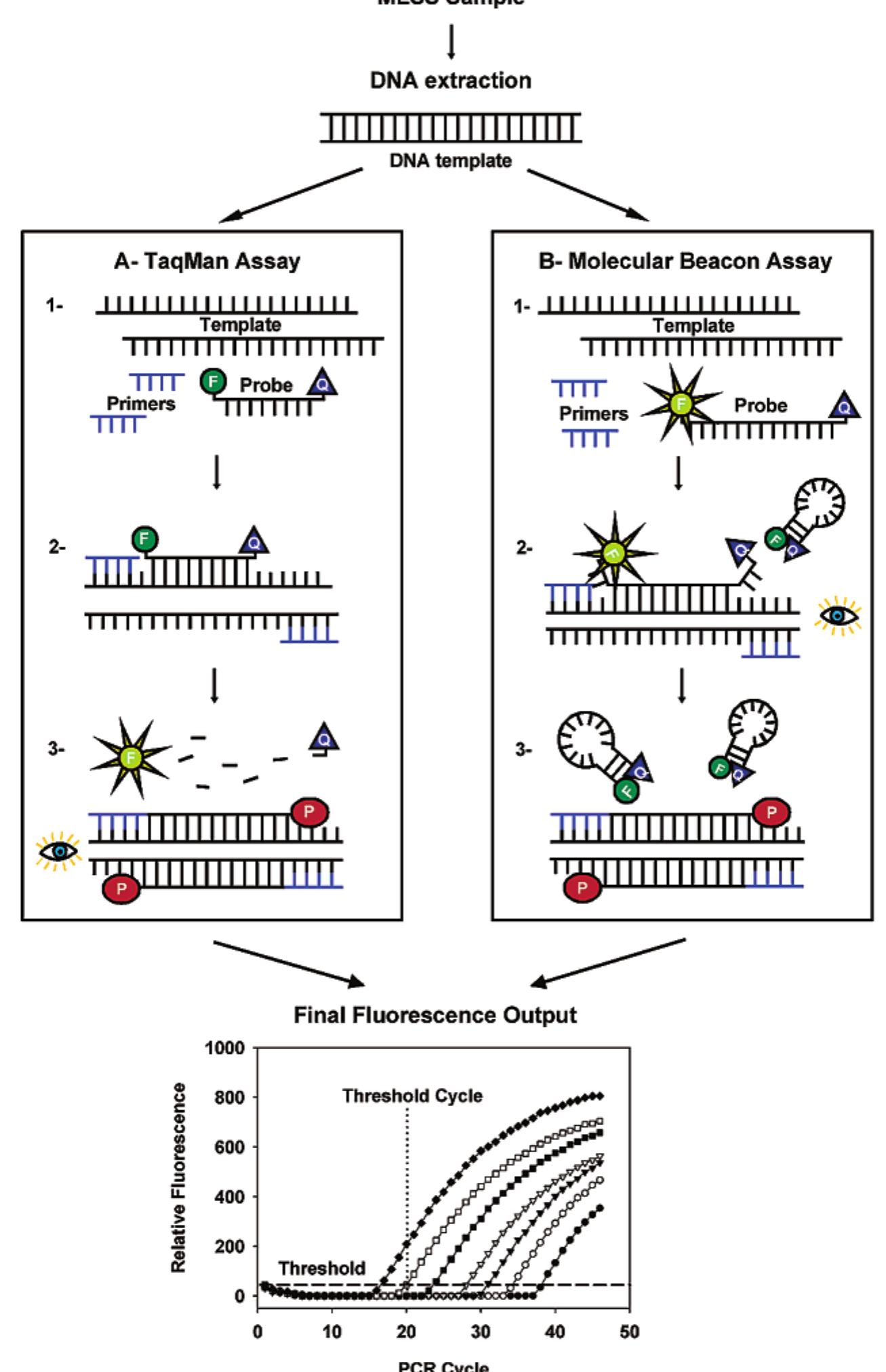 Schematic Representation Of The Quantification Of Specific