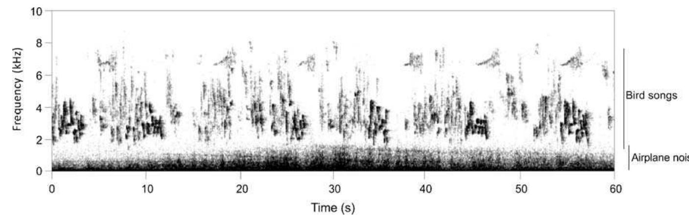 Spectrogram representing a typical scene of the airplane