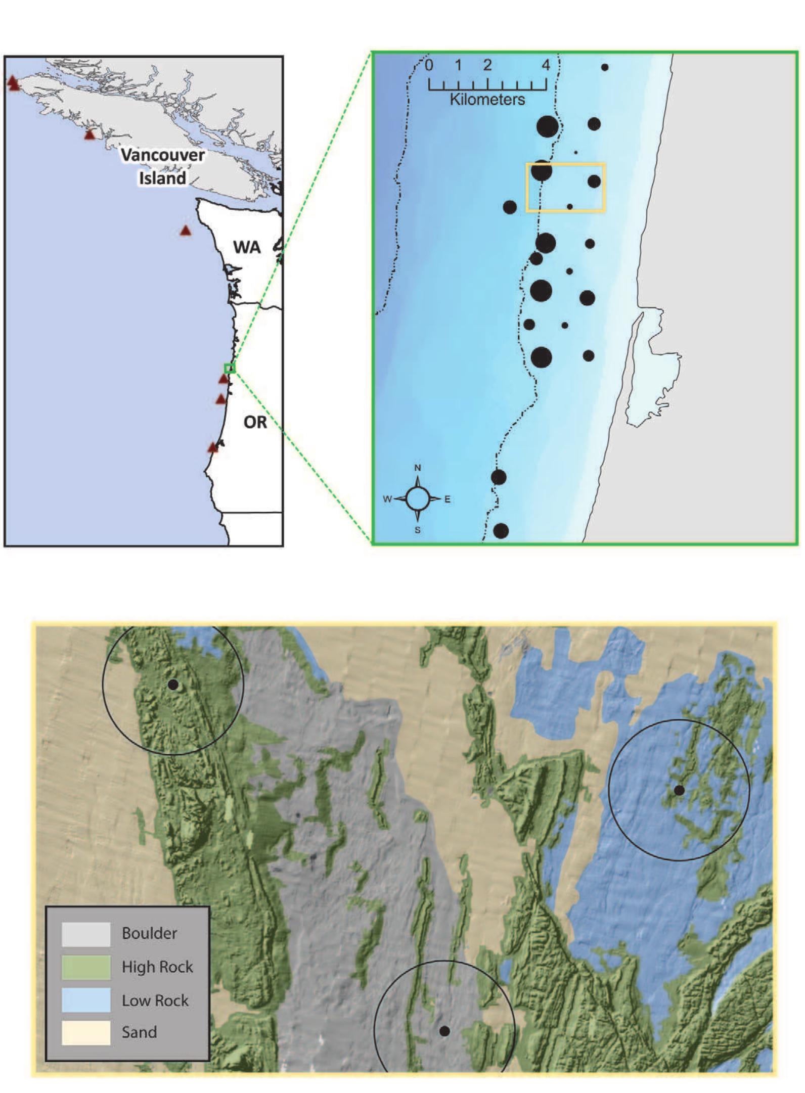 Map of the study area. top-left inset: overview of oregon