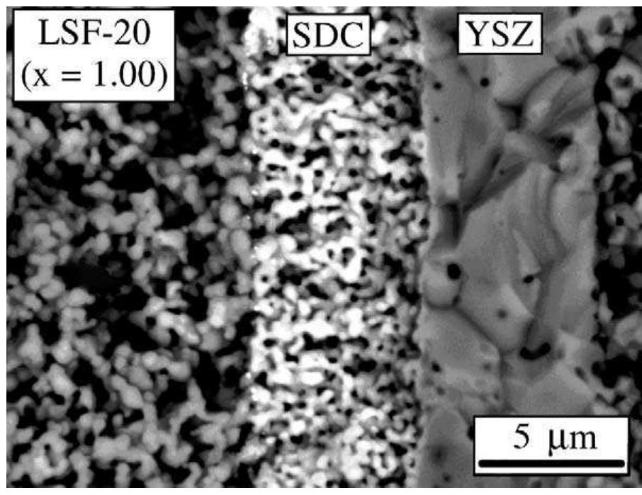 Sem micrograph of an anode-supported ysz cell utilizing a