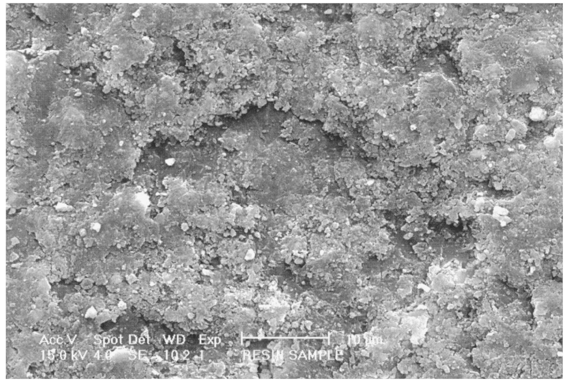 High magnification sem image of the resin surface following