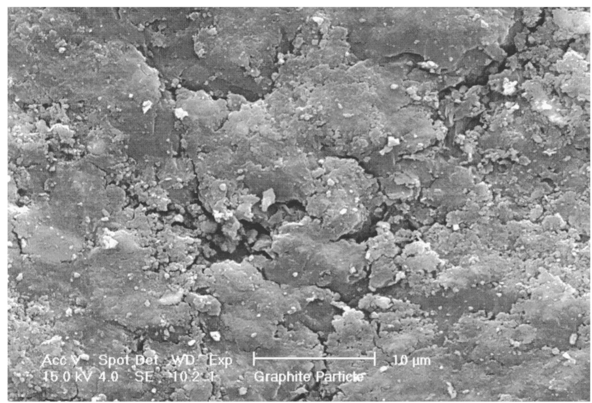 High magnification sem image of the resin surface modified