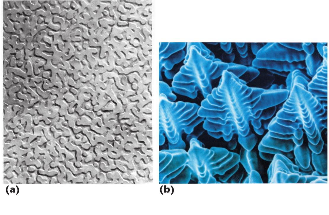 Experimental Microstructures A Spinodal Decomposition In