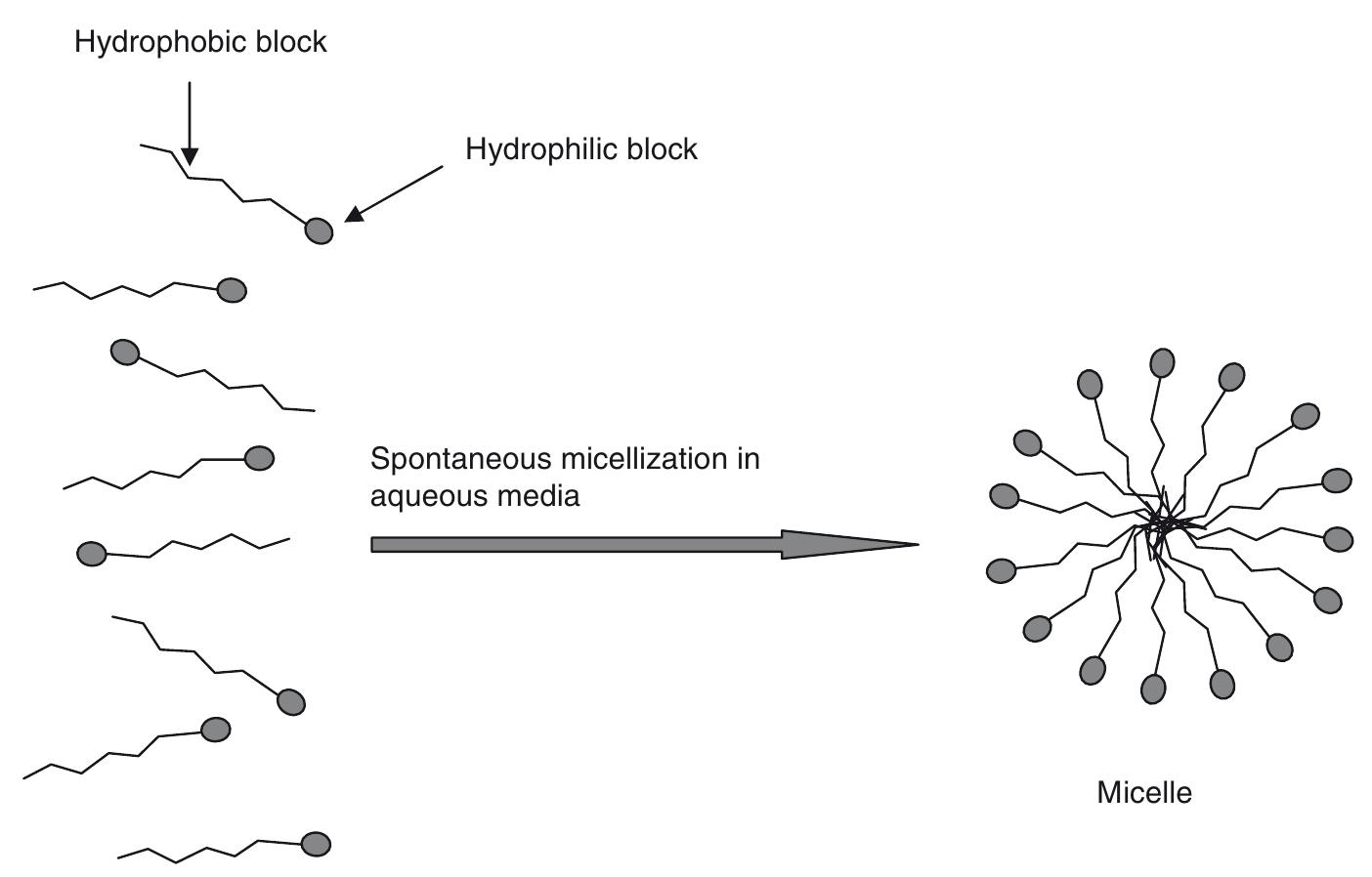 4 schematic diagram of spontaneous micellization of