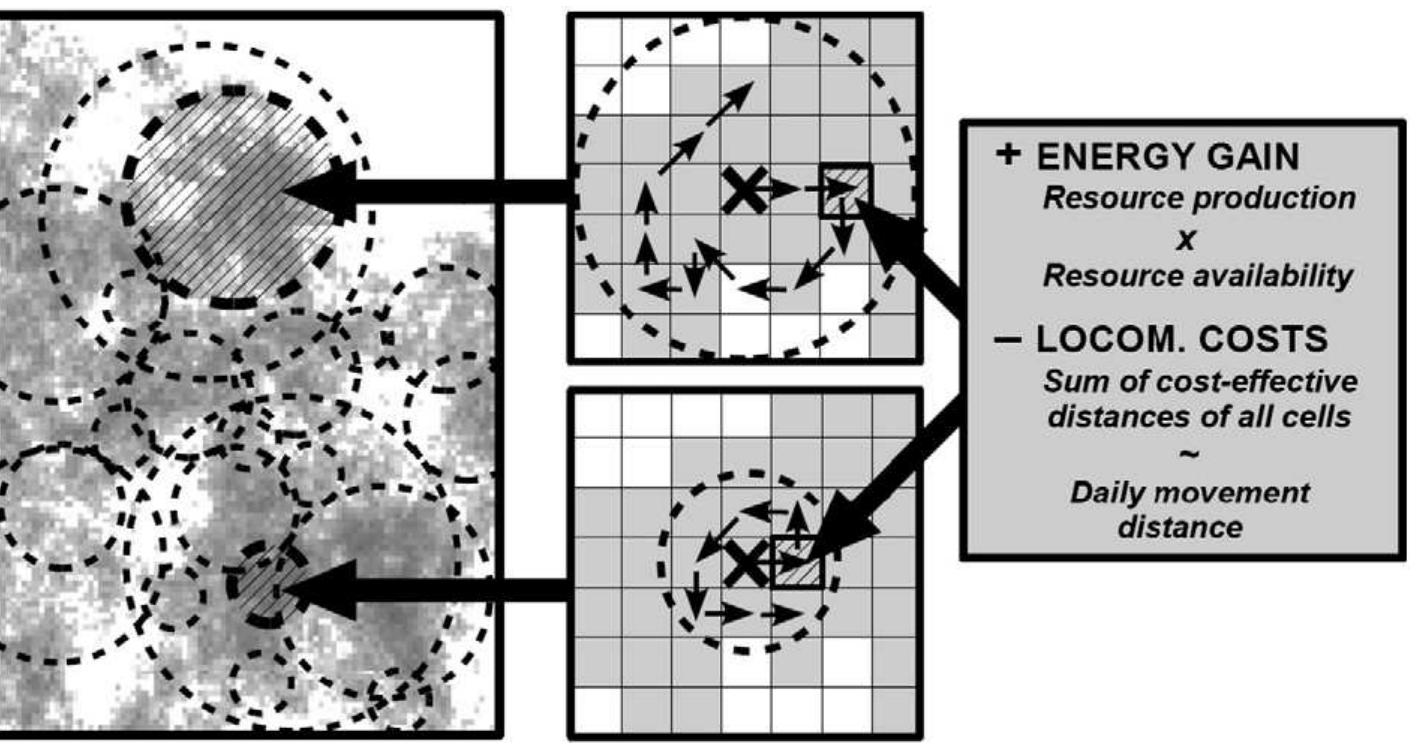Schematic illustration of major model mechanisms of the