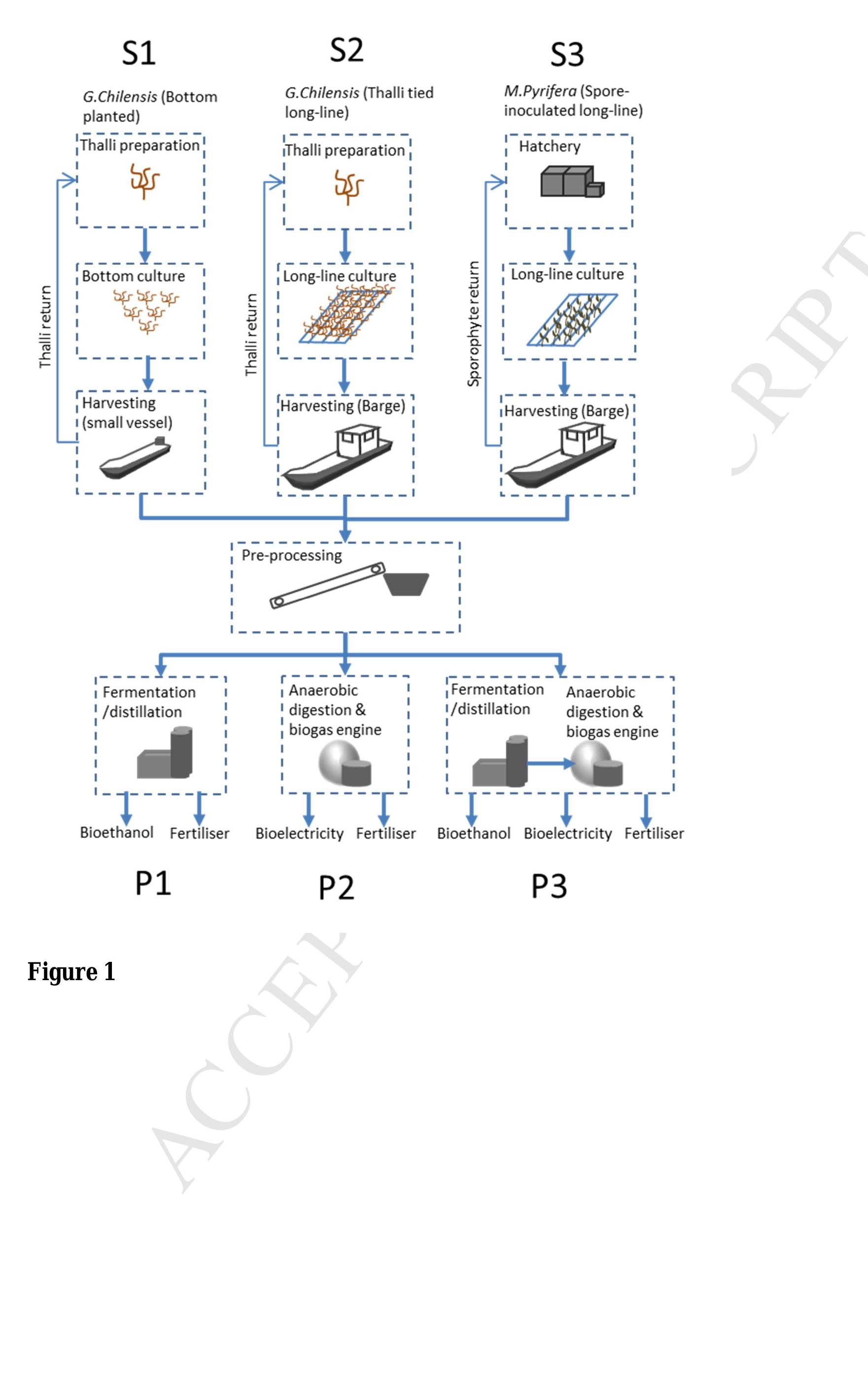 Figure 1 - Life cycle assessment of macroalgae cultivation