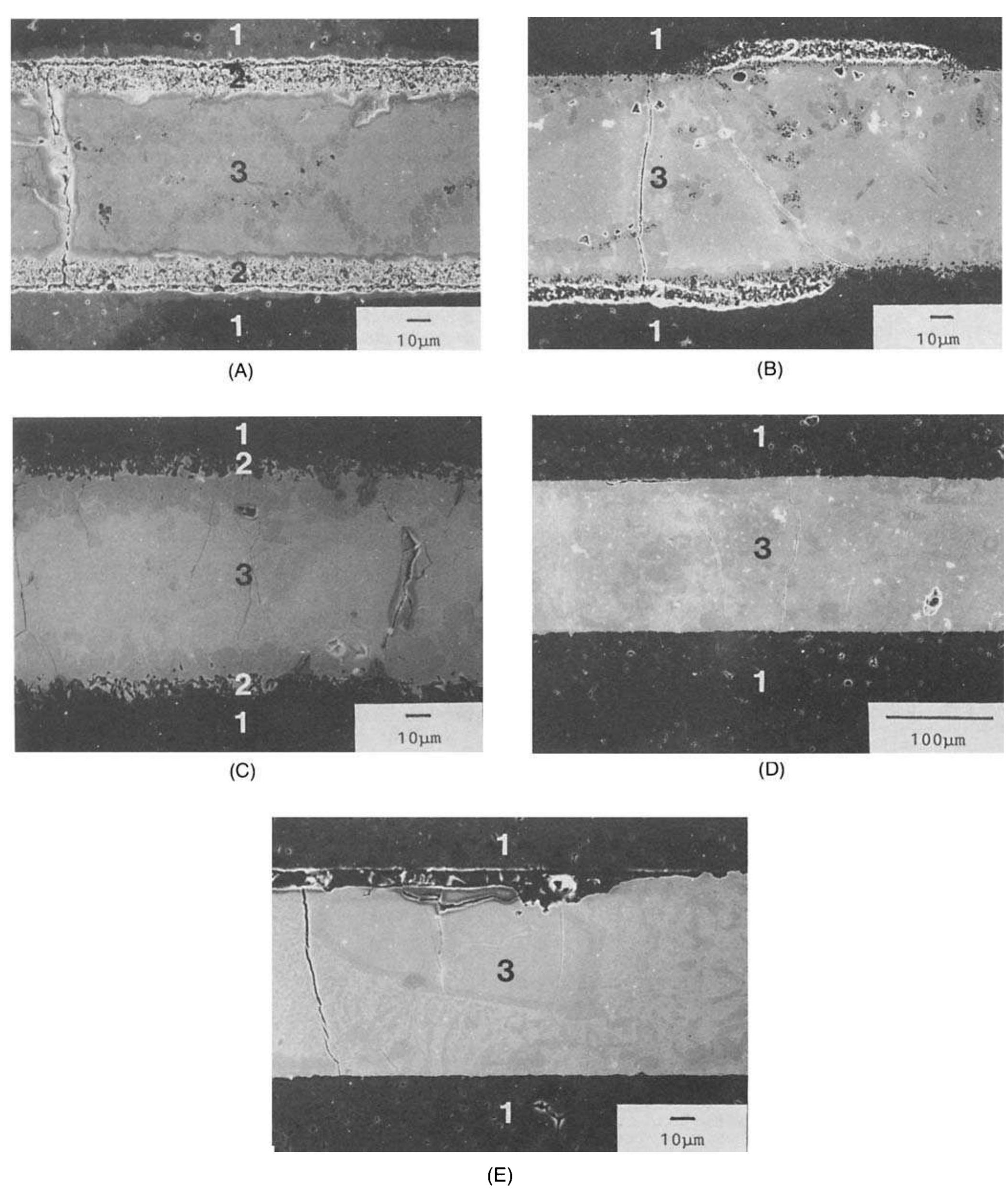 Sei images of joint cross sections: (a) 20%, (b) 30%, (c)