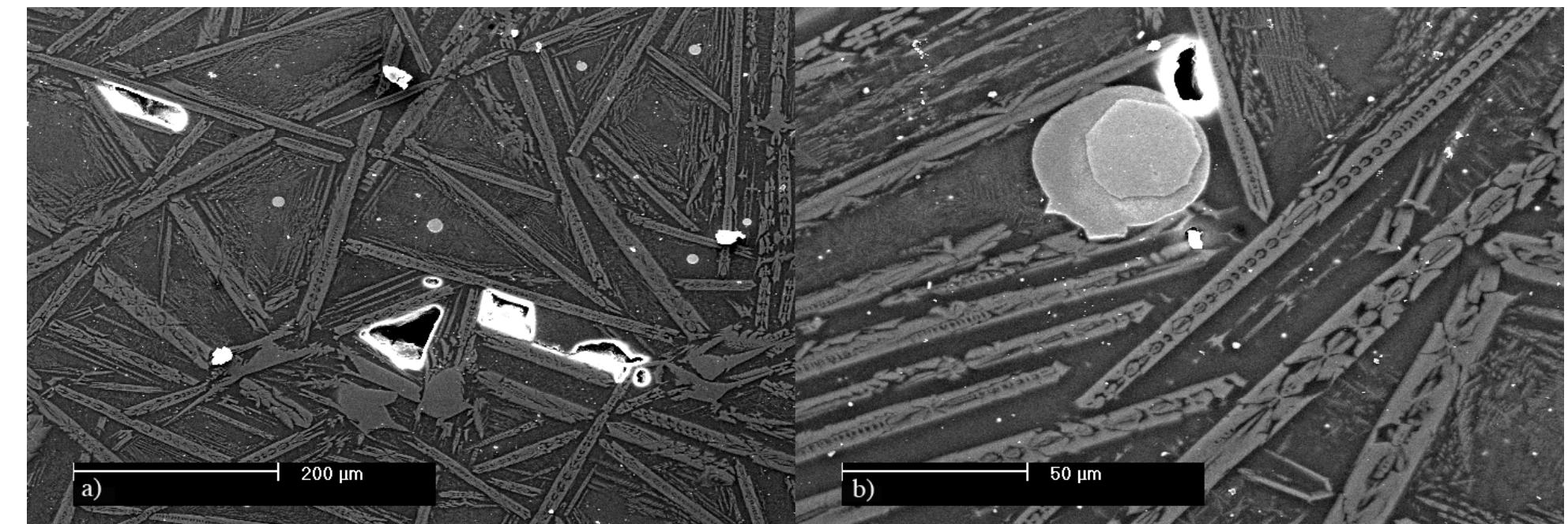 Scanning electron microscope (sem) images of a “typical”