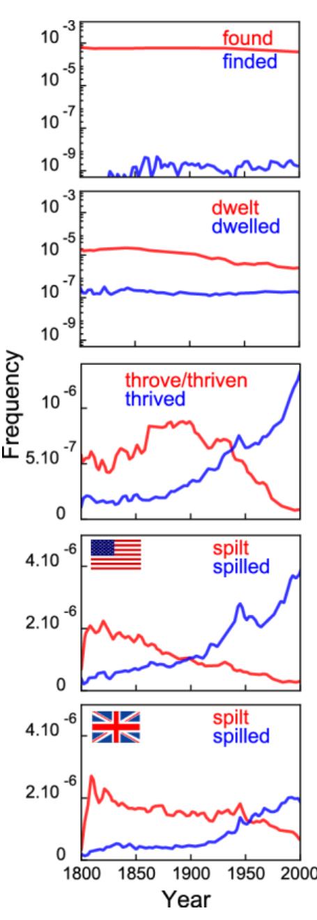 S8. example of grammatical change. irregular verbs are used