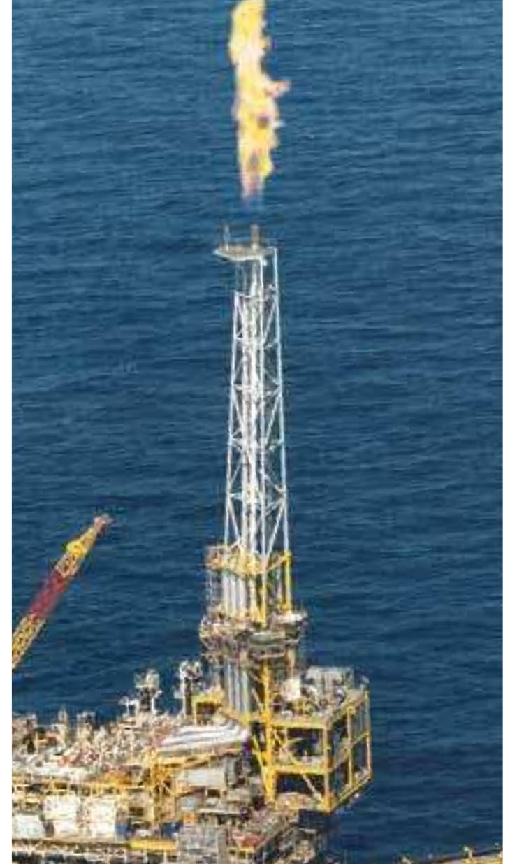 Figure 6 - Callidus Flares A world leader in flare and flare