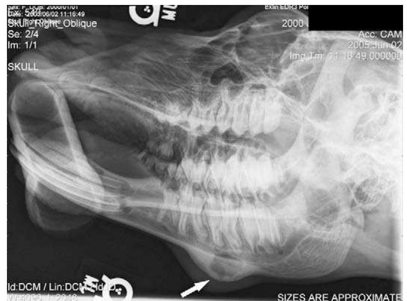 Figure 6 - from Dental disease in llamas and alpacas
