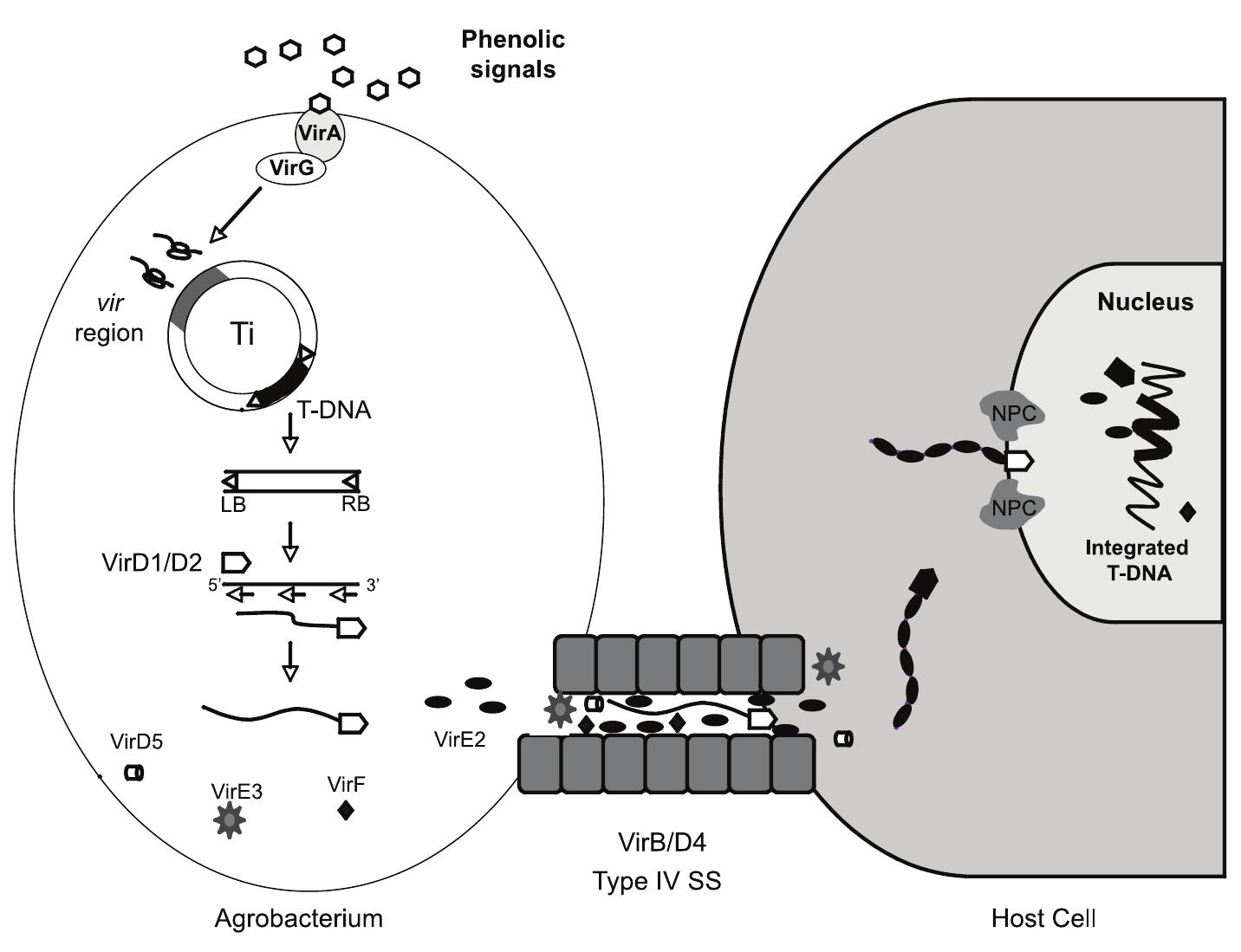 2. general schematic representation of
