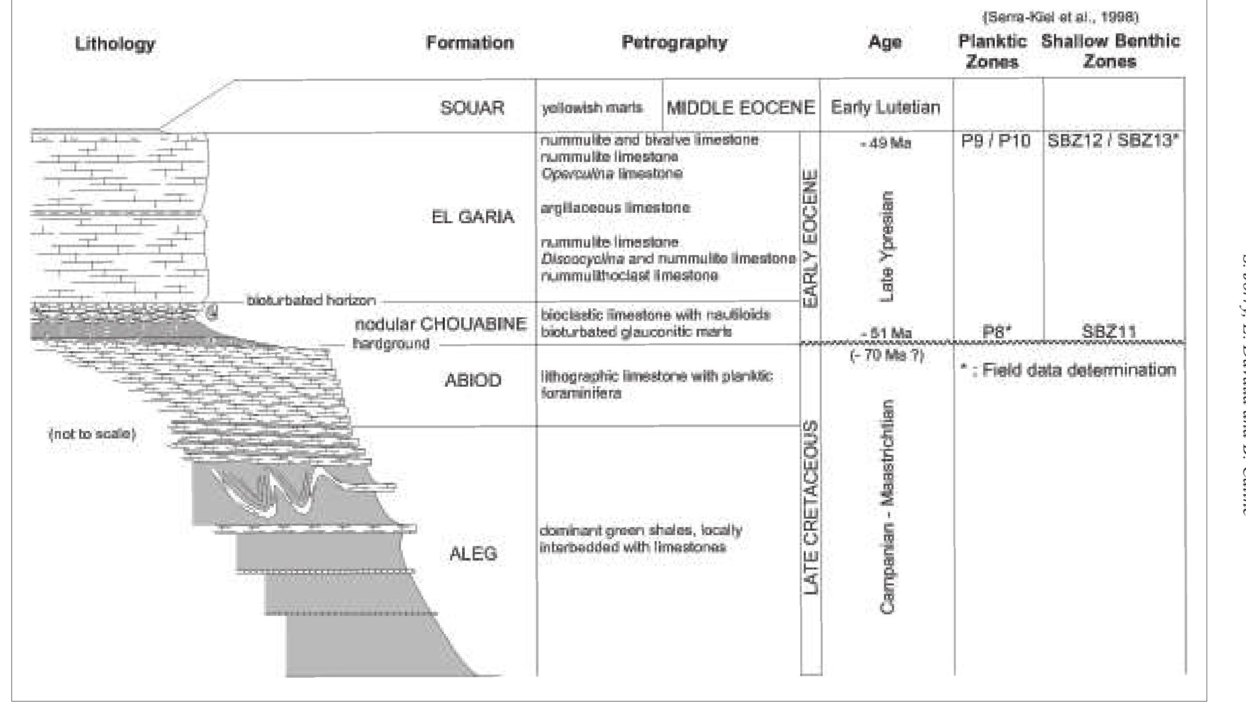 General stratigraphy of outcropping rocks in the kesra